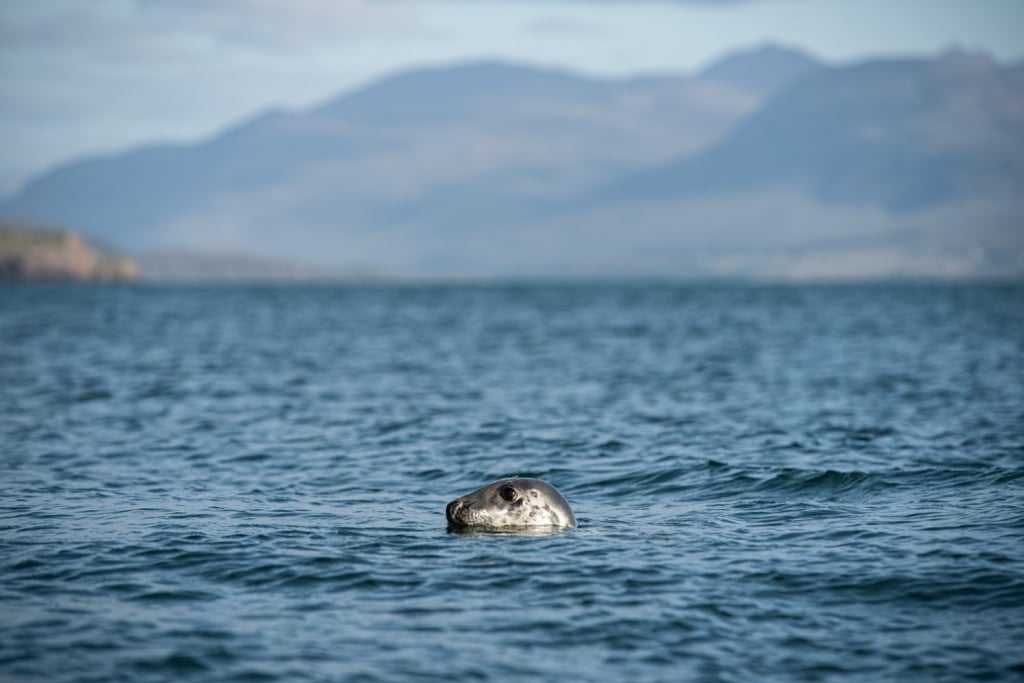 Scotland: Ocean Nation - Cal Major Update - SUPboarder Magazine